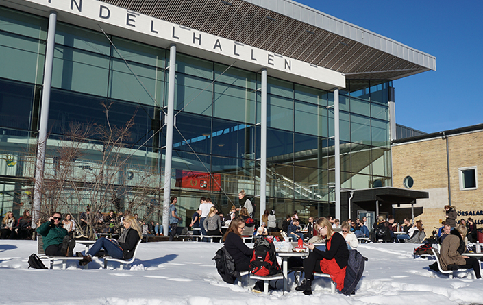 Umeå University on Earning Accreditation | AACSB